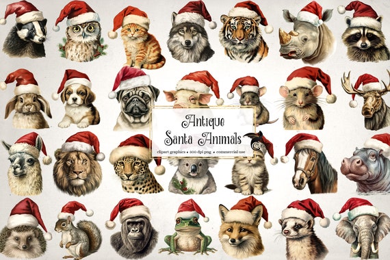 Clip Art Di Simpatici Animali Natalizi Animale Per Natale Immagini