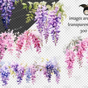 Watercolor Wisteria Clipart - Digital Clip Art Graphics of Watercolor ...