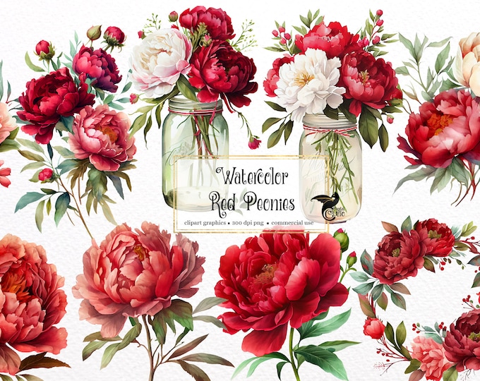 Aquarell Rote Pfingstrose Clipart - Pfingstrosen im PNG-Format zum ...