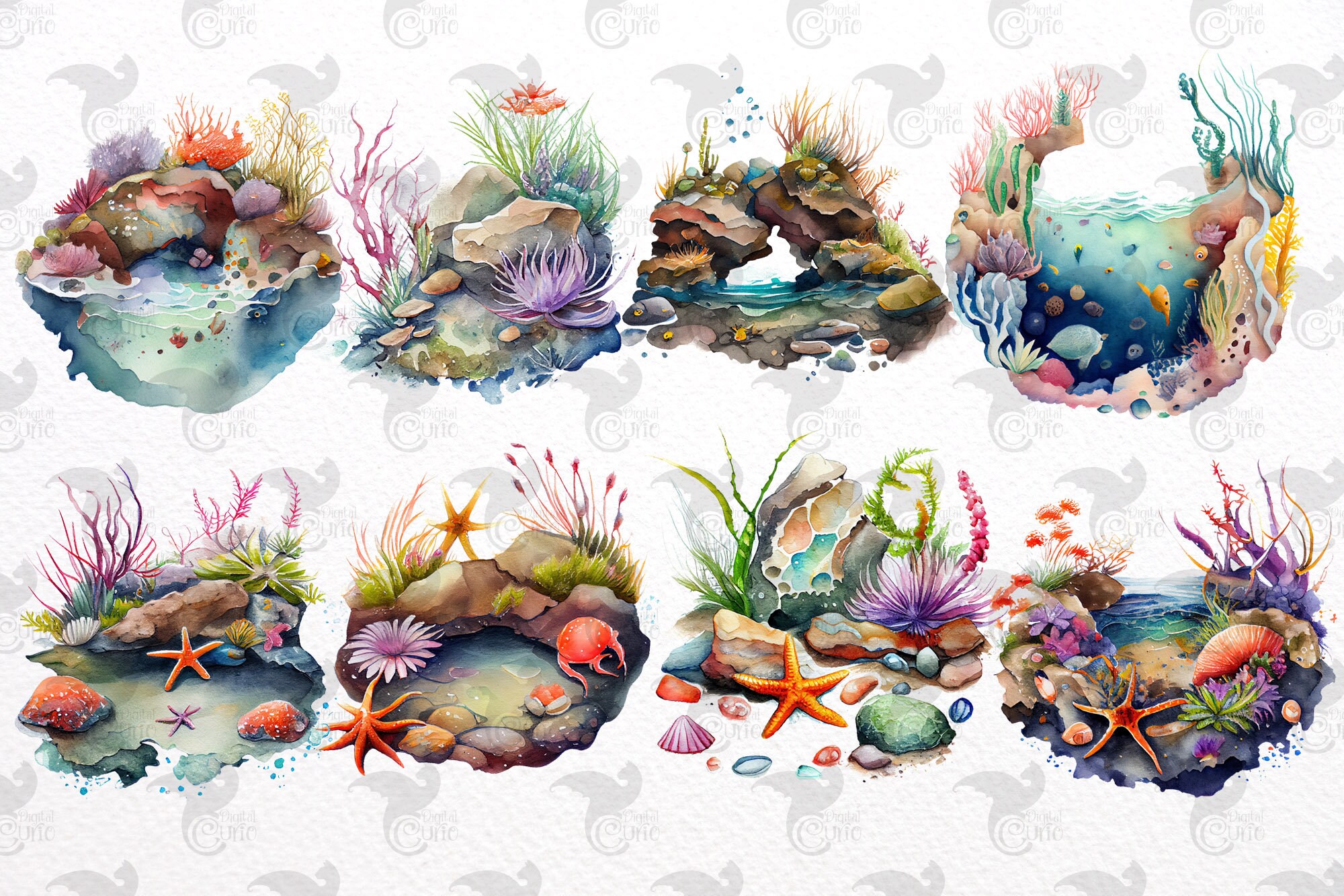 Watercolor Tidepool Clipart Ocean Seascape Scene PNG Format - Etsy ...