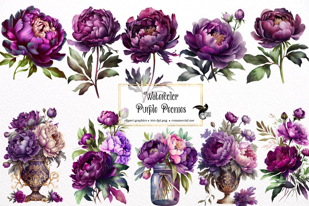 Watercolor Purple Peony Clipart - Peonies in PNG Format Instant ...