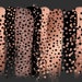 Rose Gold Cheetah Brush Strokes Clipart, With Rose Gold Glitter and ...
