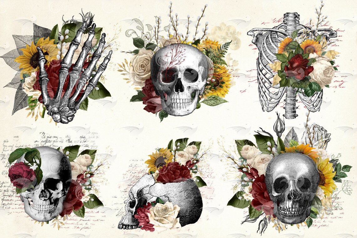 Rustic Floral Skull Elements Antique Illustrations of Human - Etsy