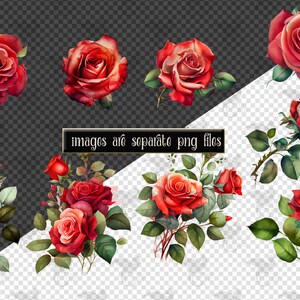 Watercolor Red Roses Clipart – Floral PNG Graphics (commercial Use) - Etsy