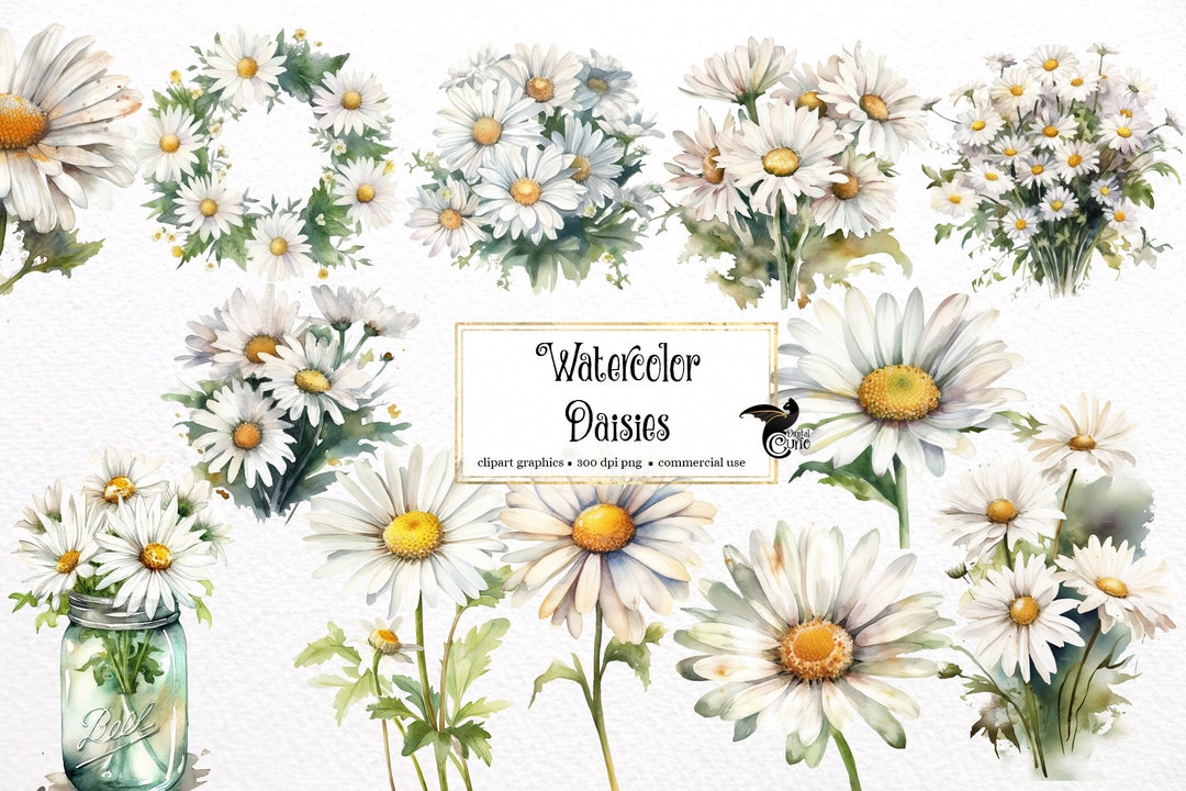 Watercolor Daisies Clipart - Spring Floral PNG Format Instant Download ...