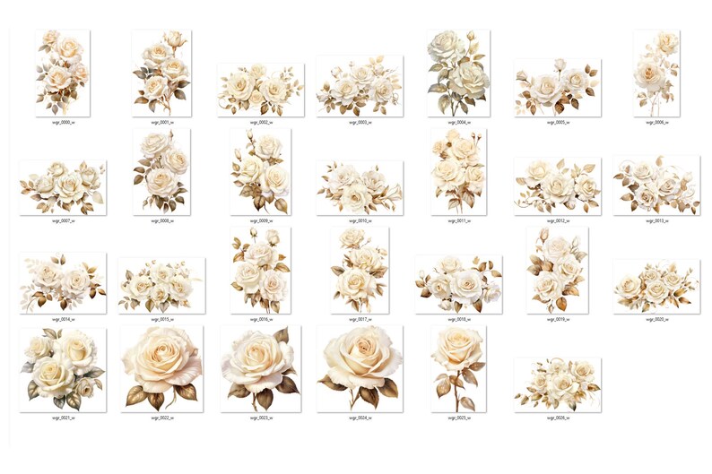 White and Gold Rose Clip Art, Floral PNG Embellishments (digital ...