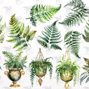 Watercolor Ferns Clipart - House Plant Potted and Hanging Fern Leaves ...