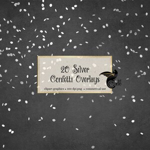 20 Silver Confetti Overlays in PNG Format With Transparent Backgrounds ...