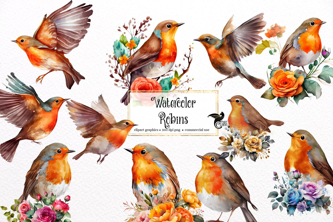 Watercolor Robins Clipart - Springtime Cute Birds and Blossoms PNG ...
