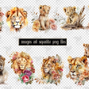 Watercolor Lion Clipart – African Animals PNG, Commercial Use (digital ...