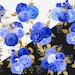 Royal Blue and Gold Floral Bouquets Clipart, Digital Instant Download ...