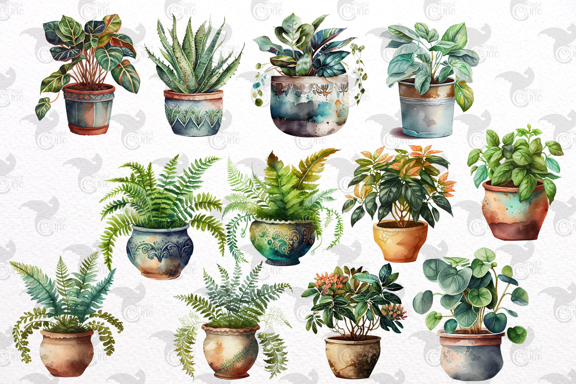 Watercolor Potted Plants Clipart - House Plant PNG Format Instant ...