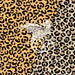 Classic Leopard Digital Paper, Seamless Leopard Skin Pattern ...