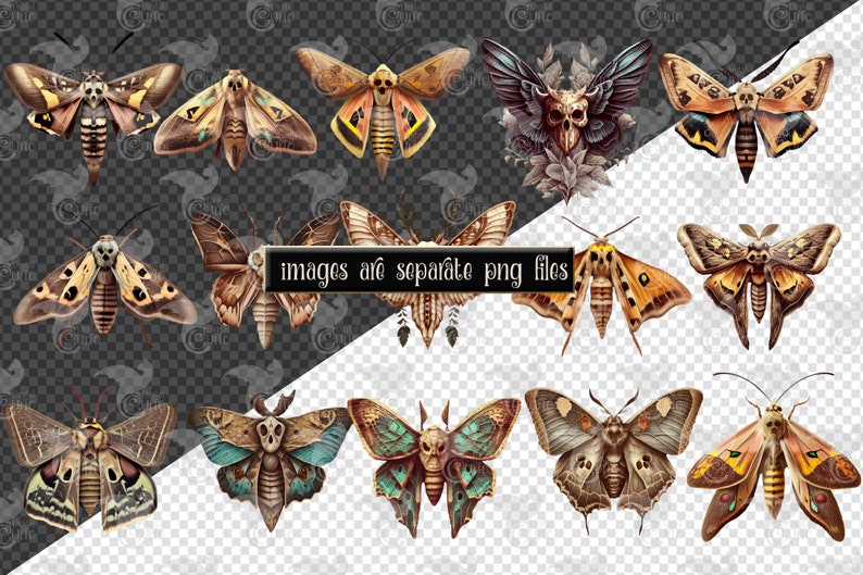 Skull Moth Clipart, Death's Head Moth Graphics (digital Download) - Etsy