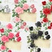 Rose Note Frames Clipart, Vintage Antique Shabby Flower Frames Clip Art ...