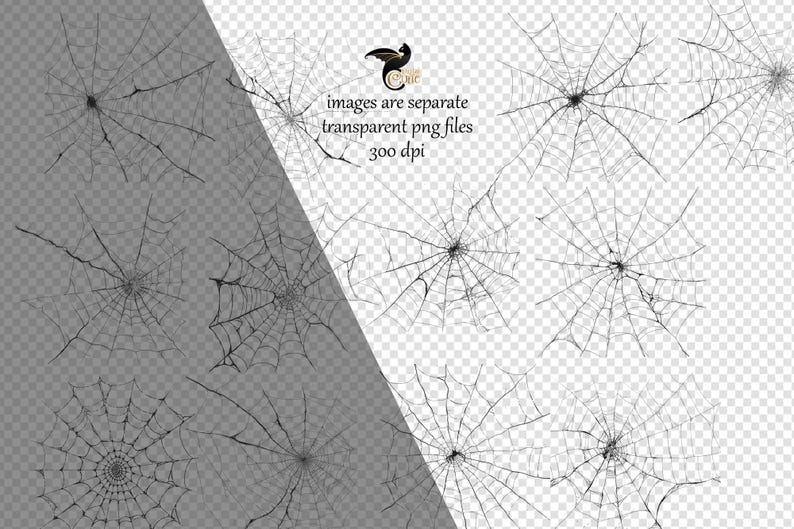 Gothic Spider Web Clipart, Halloween PNG Graphics (digital Download) - Etsy