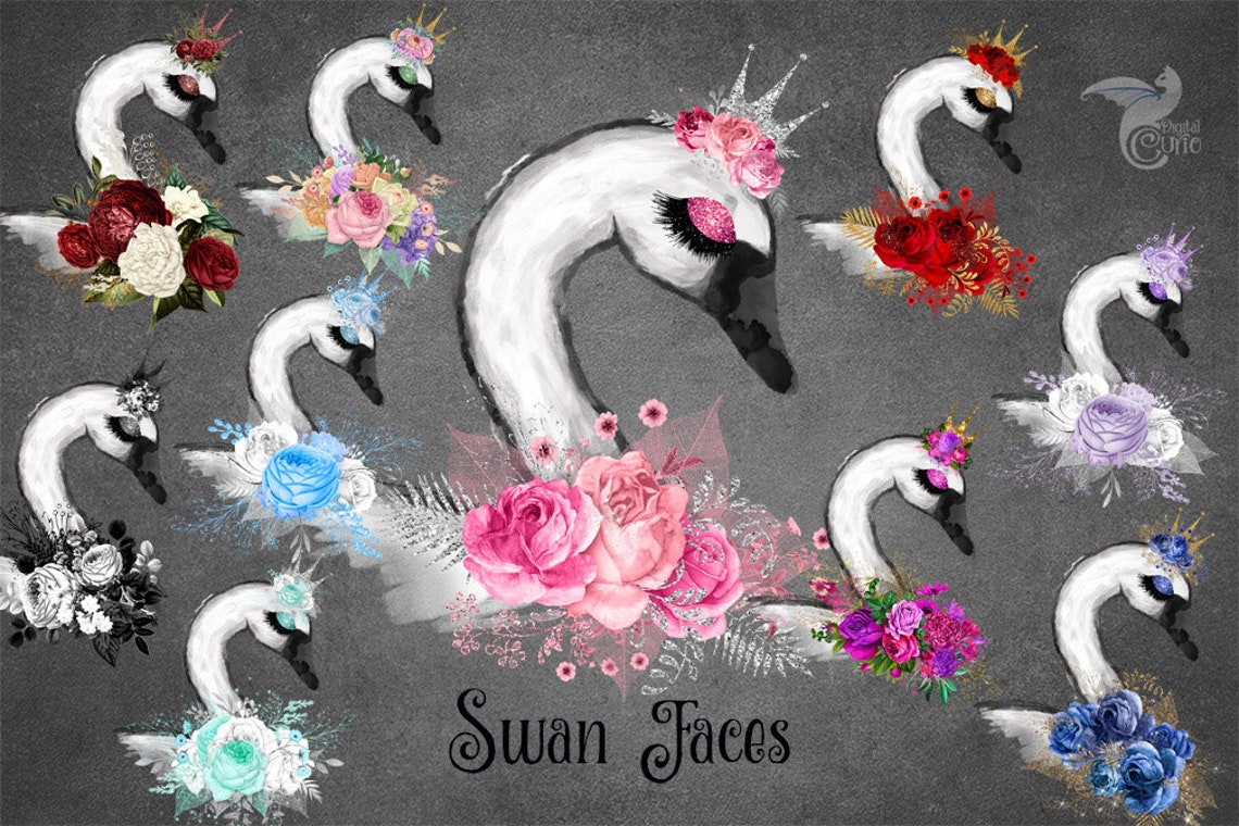 Swan Faces Clipart Swan Clipart Beautiful Swan Eyes Clip | Etsy