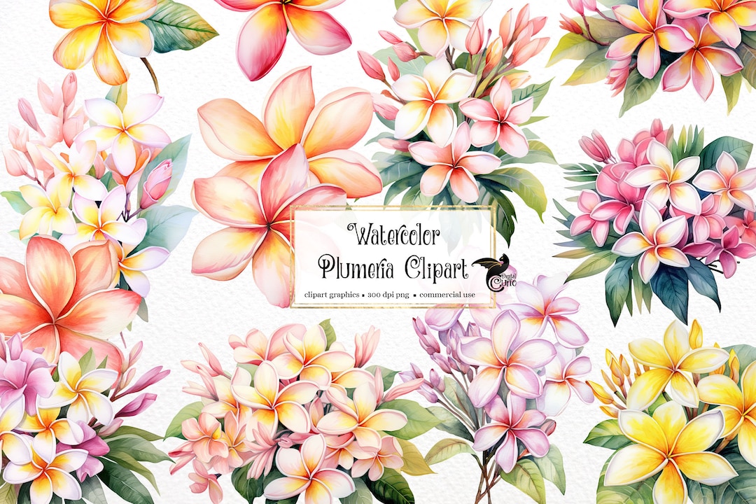 Watercolor Plumeria Clipart - Tropical Flowers PNG Format Instant ...