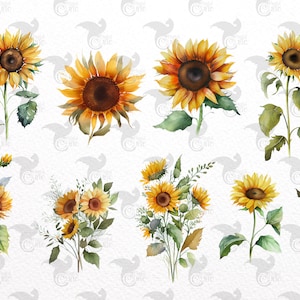 Watercolor Sunflowers Clipart - Fall Sunflower Floral Bouquets in PNG ...