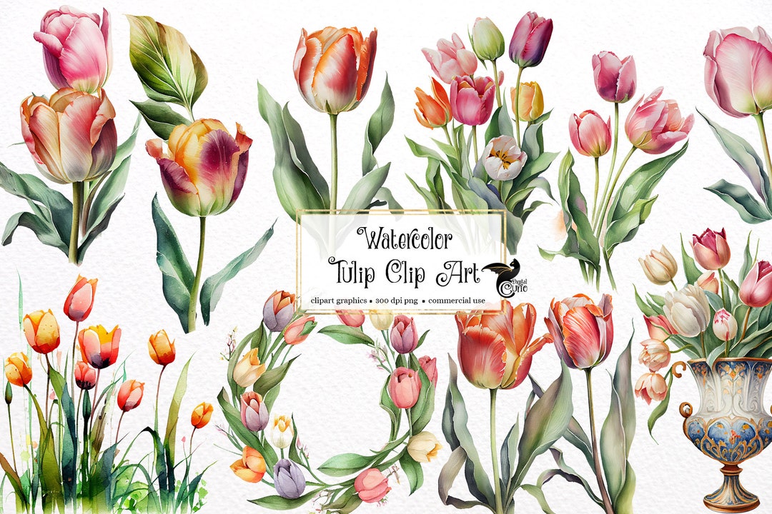 Watercolor Tulips Clip Art - PNG Format Flower Clipart Instant Download ...