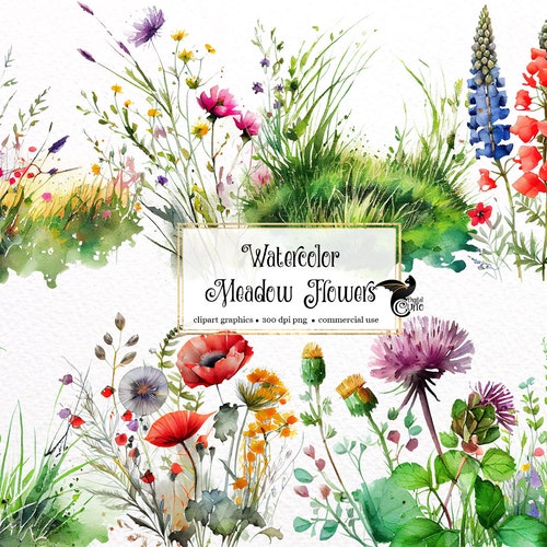 Watercolor Meadow Flowers Clipart Wildflower Floral PNG Png - Etsy