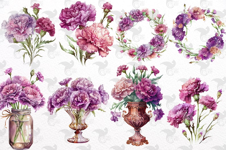 Watercolor Purple Carnation Clipart Floral Graphics in PNG - Etsy