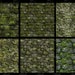 Mossy Stones Textures Digital Paper, Seamless Rustic Ancient Overgrown ...