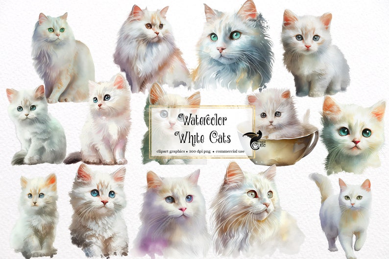 Watercolor White Cats Clipart Cute Cats and Kittens PNG - Etsy Australia