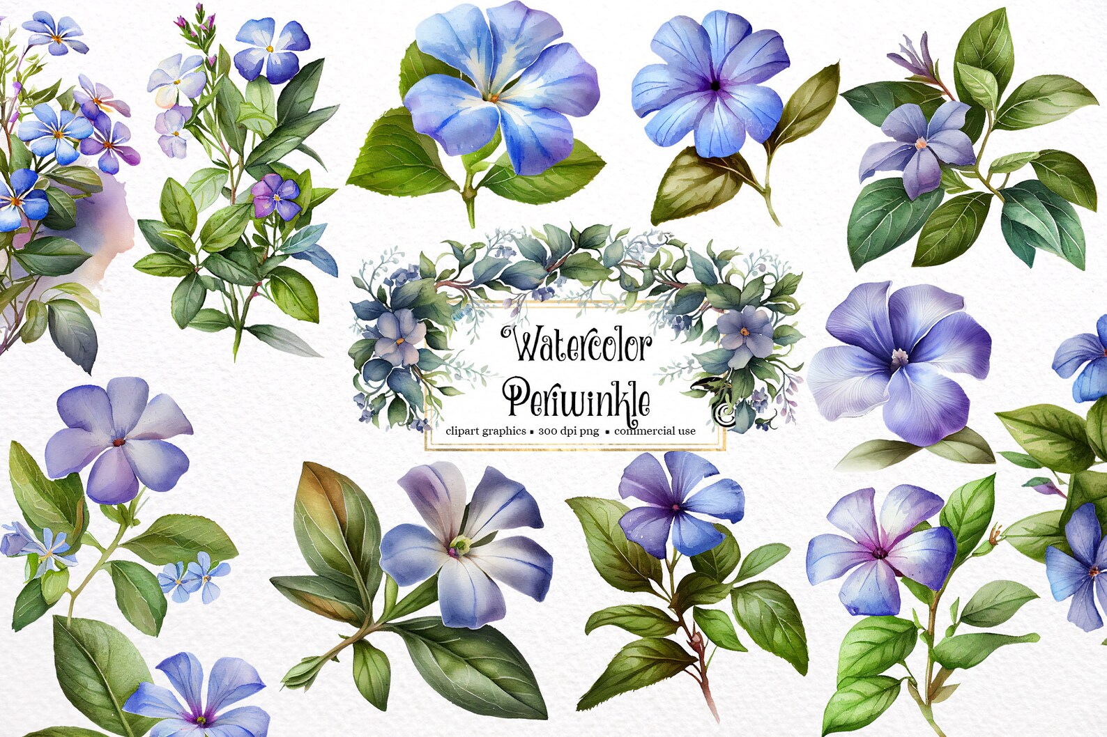 Watercolor Periwinkle Clipart - Flowers and Leaves in PNG Format ...