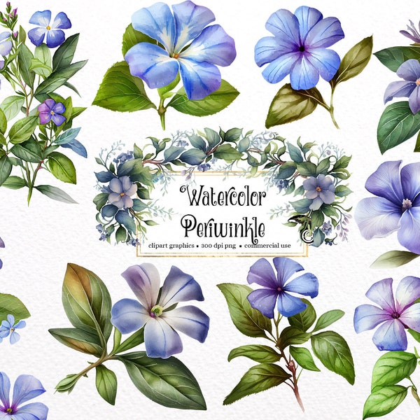 Periwinkle Flowers - Etsy