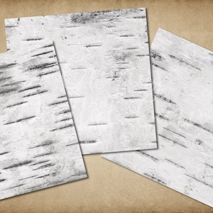 White Birch Bark Digital Paper - Birch Tree Backgrounds, White Wood ...