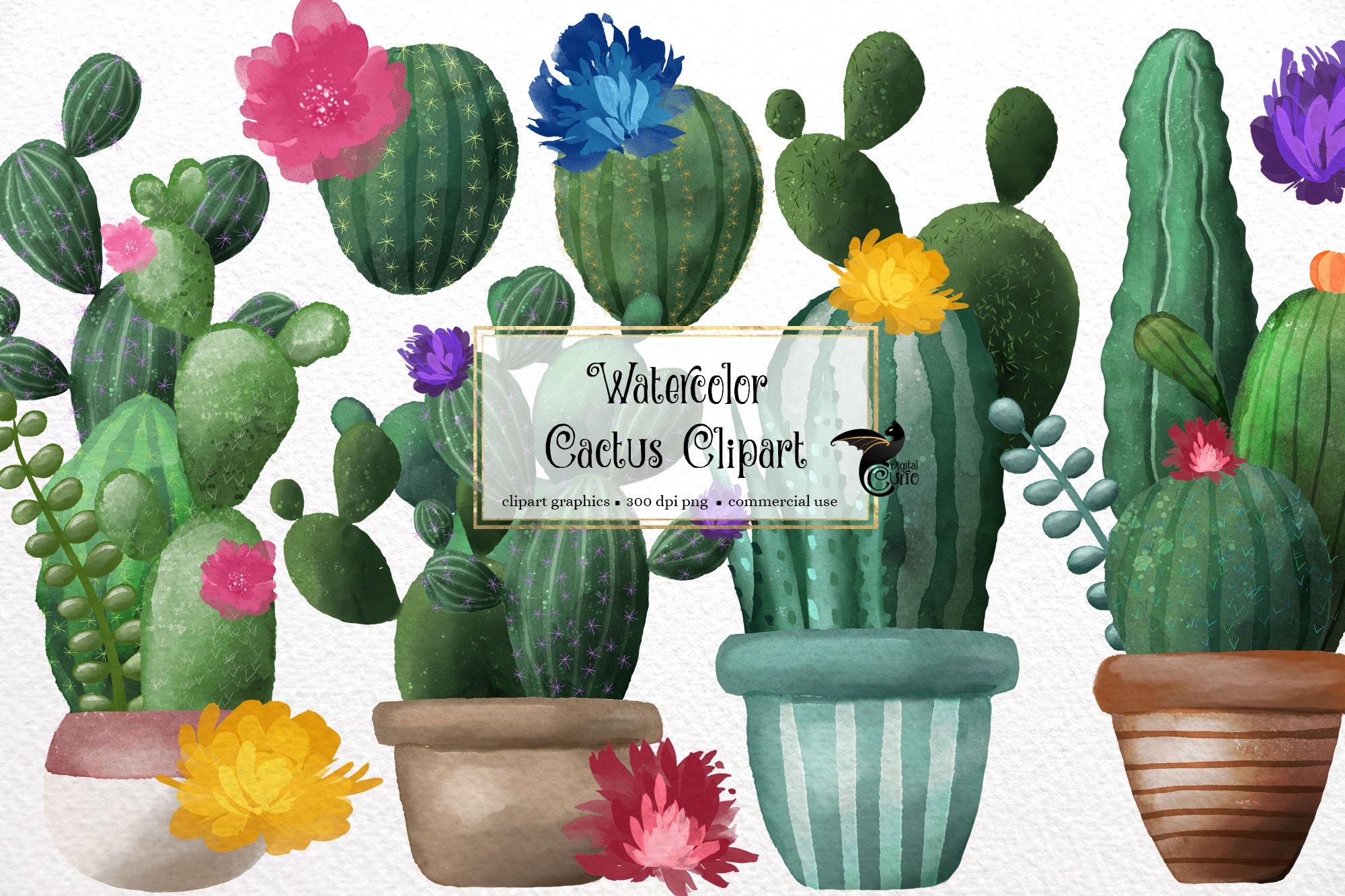 Watercolor Cactus Clip Art Digital Cactus and Succulent - Etsy