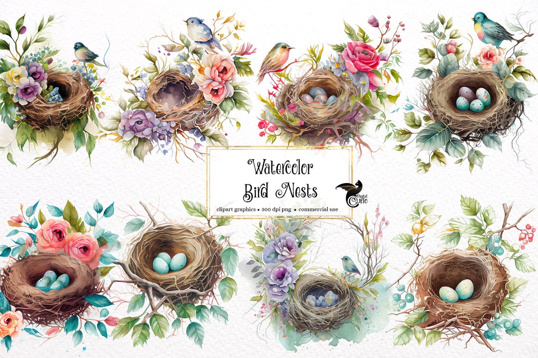 Watercolor Bird Nests Clipart – Springtime Blossoms, PNG (digital ...