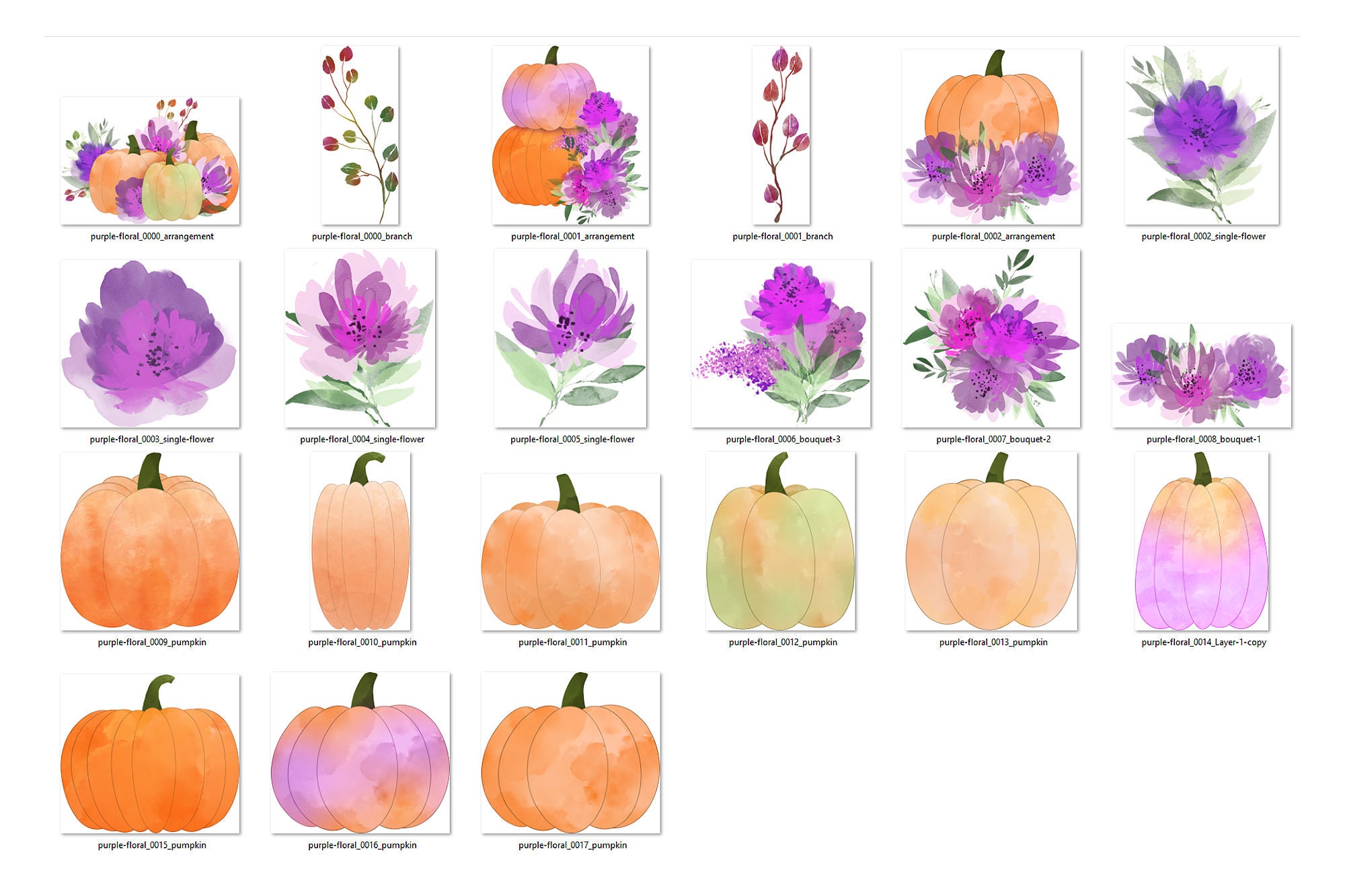 Purple Floral Pumpkins Clip Art Watercolor Pumpkin - Etsy