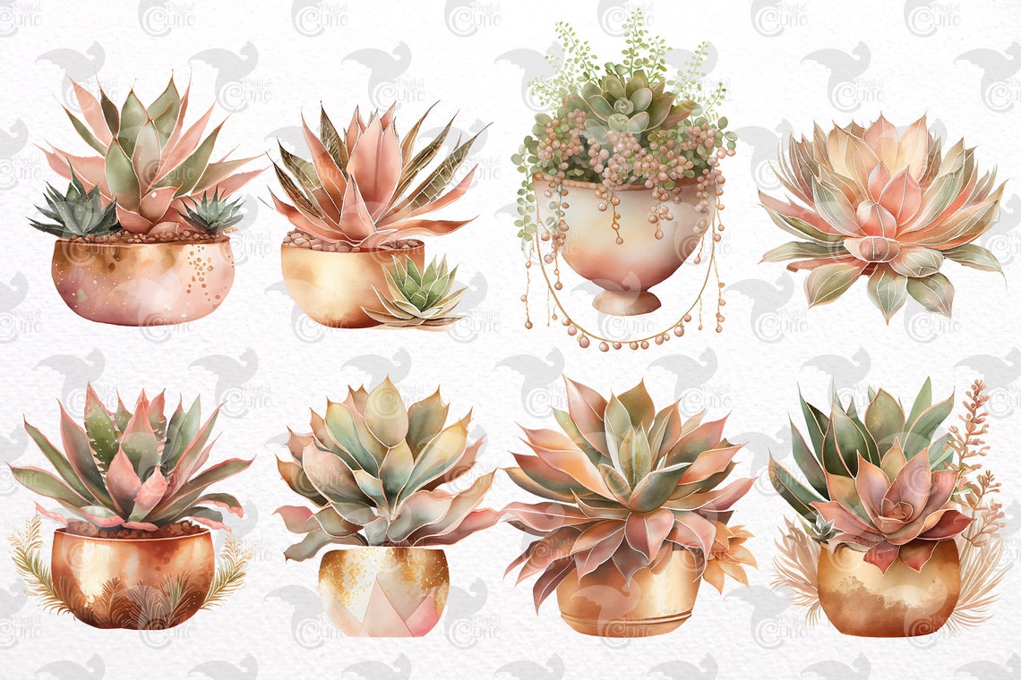 Watercolor Boho Succulents Clipart - Western Floral Wedding PNG Format ...