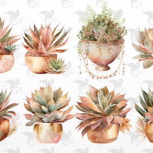 Watercolor Boho Succulents Clipart - Western Floral Wedding PNG Format ...