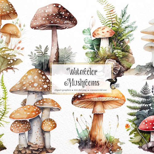 Mushrooms Watercolor Clipart PNG Forest Woodland Fall Autumn - Etsy