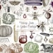 50 Old Things Clip Art - Vintage Antique Objects and Overlays in Png ...
