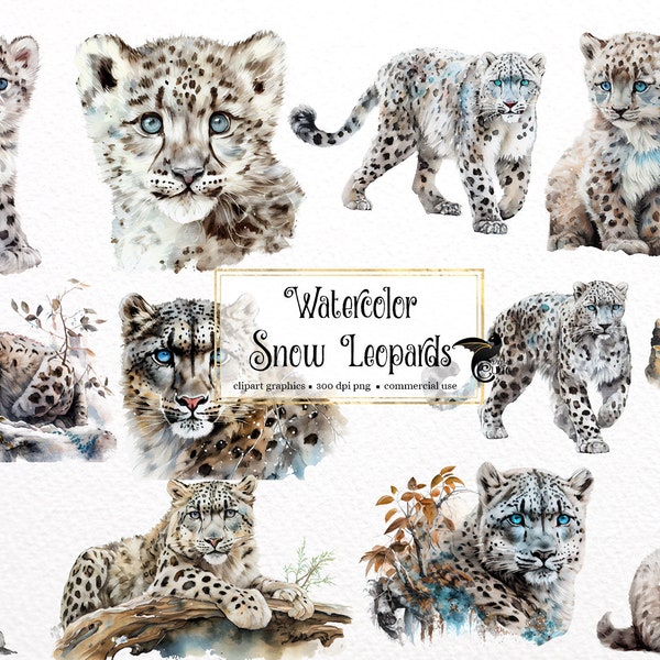 Snow Leopard Print - Etsy