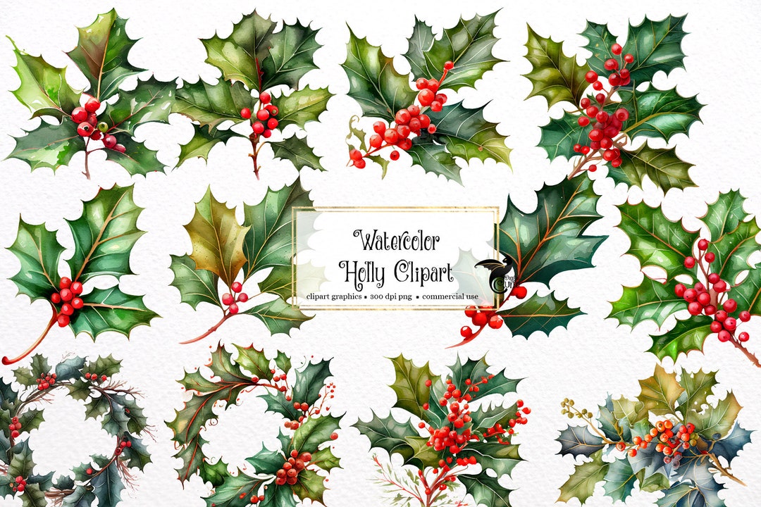 Watercolor Holly Clipart – Winter Botanical PNG Images (digital ...