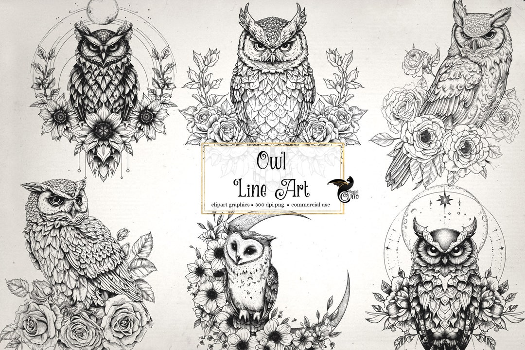 Owl Line Art Clipart – Floral Collage Sheets (digital Download) - Etsy