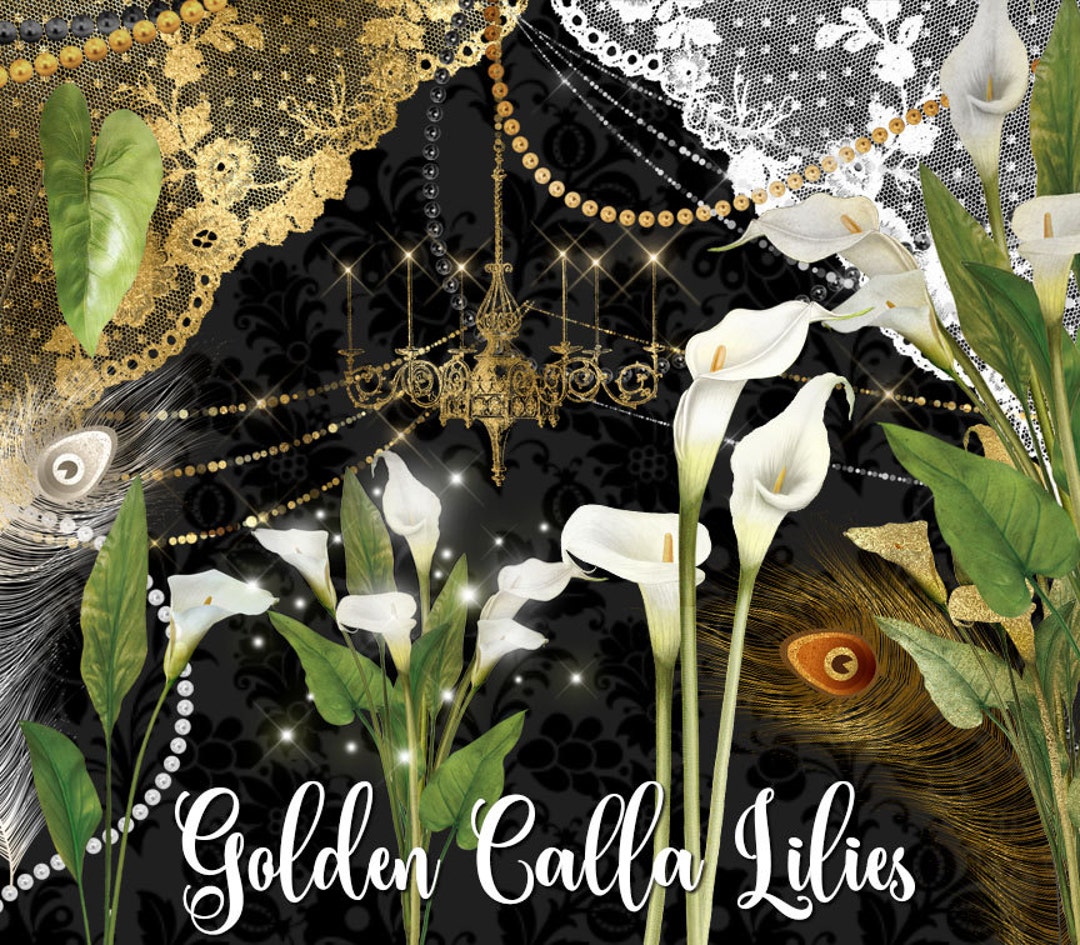 Golden Calla Lilies Clipart, White and Gold Magic Flower Clipart, Black ...