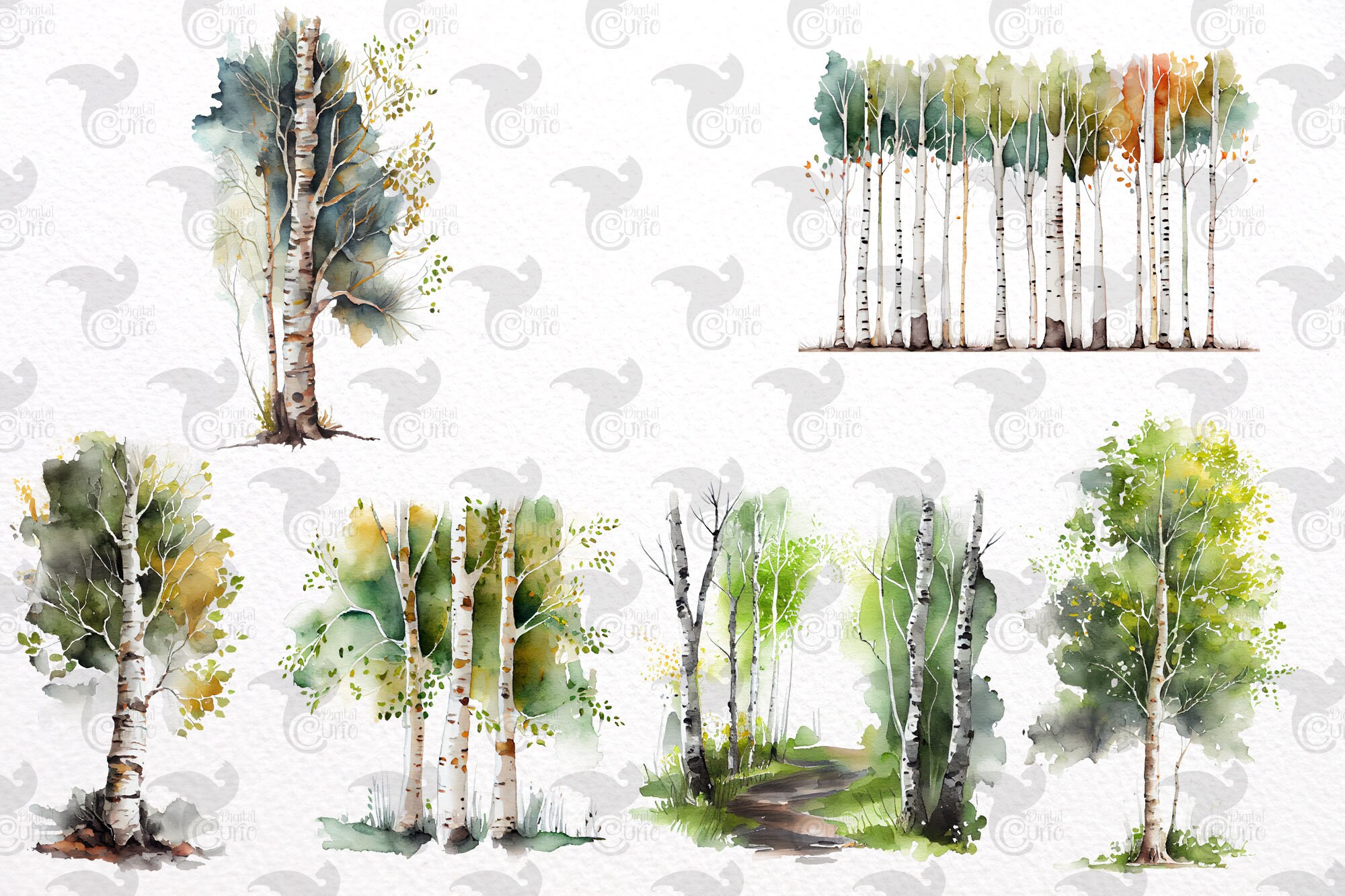 Watercolor Birch Tree Clipart – Spring Forest PNG (digital Download) - Etsy