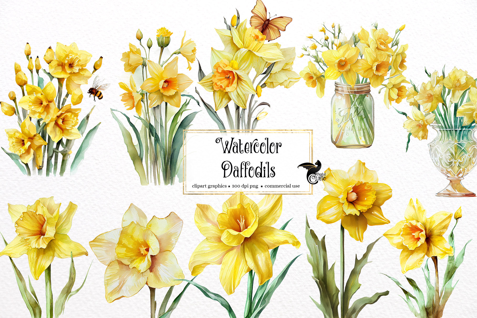 Watercolor Daffodil Clipart Spring Flowers in PNG Format - Etsy Canada