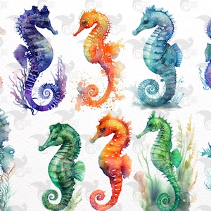 Watercolor Seahorse Clipart, Cute Nautical Ocean Animals PNG Clip Art ...