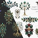 Elven Forest Emblems – Fantasy Leaf & Tree Graphics (PNG, Digital ...