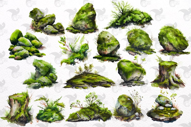 Watercolor Moss Clipart Mossy Rocks and Stumps Botanical PNG - Etsy