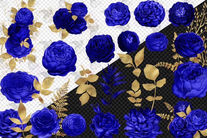 Royal Blue and Gold Floral Elements Clip Art - Digital Clipart Graphics ...