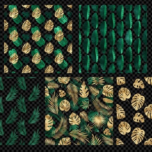 Tropical Leaf Pattern Overlays - Digital Graphics in PNG Format Instant ...