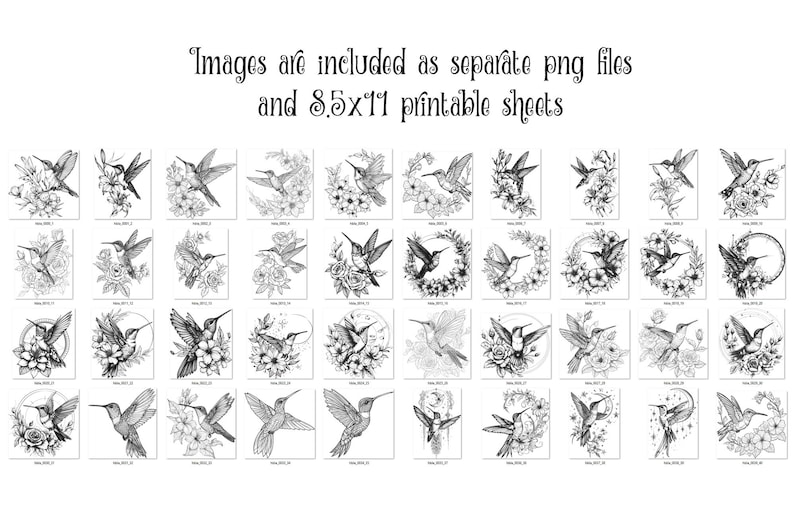 Hummingbird Line Art Clipart - Floral PNG Graphics, Collage Sheets ...